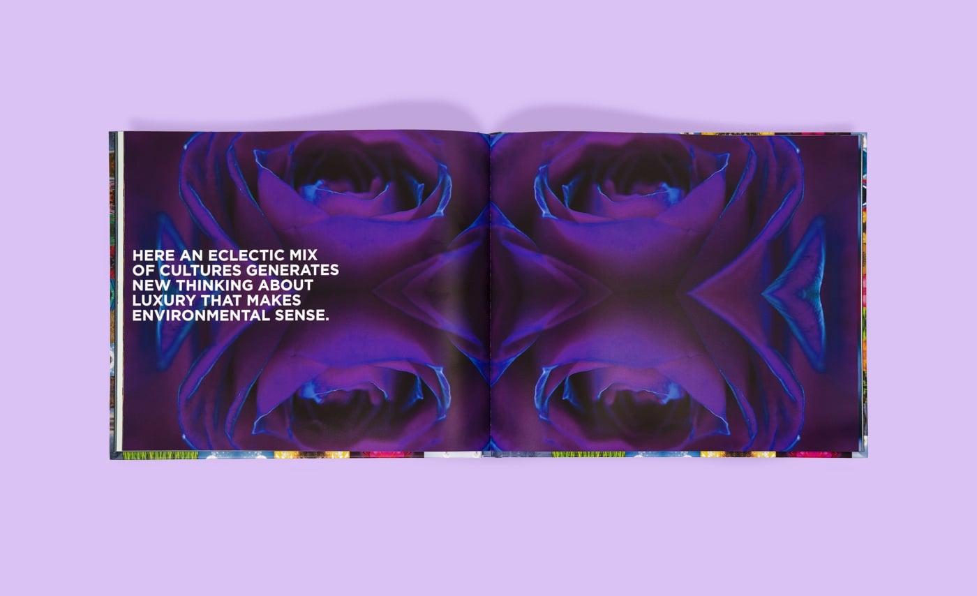 Branding and Packaging Design for Mosaic